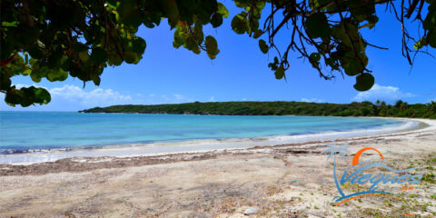 The Amazing Beaches of Vieques… One of the Islands of Puerto Rico | Vieques