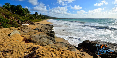 The Amazing Beaches of Vieques… One of the Islands of Puerto Rico | Vieques