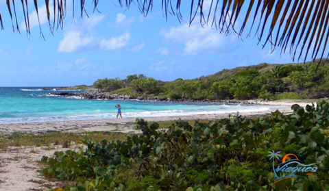 La Chiva Beach “Blue Beach” – Vieques, Puerto Rico | Vieques